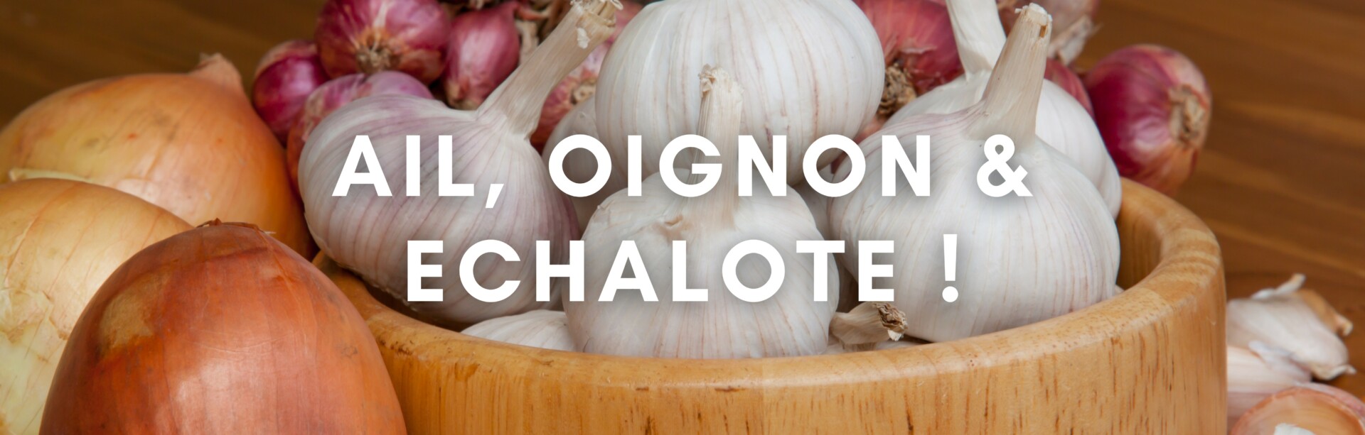 LES BULBES D'AIL, OIGNON & ECHALOTE